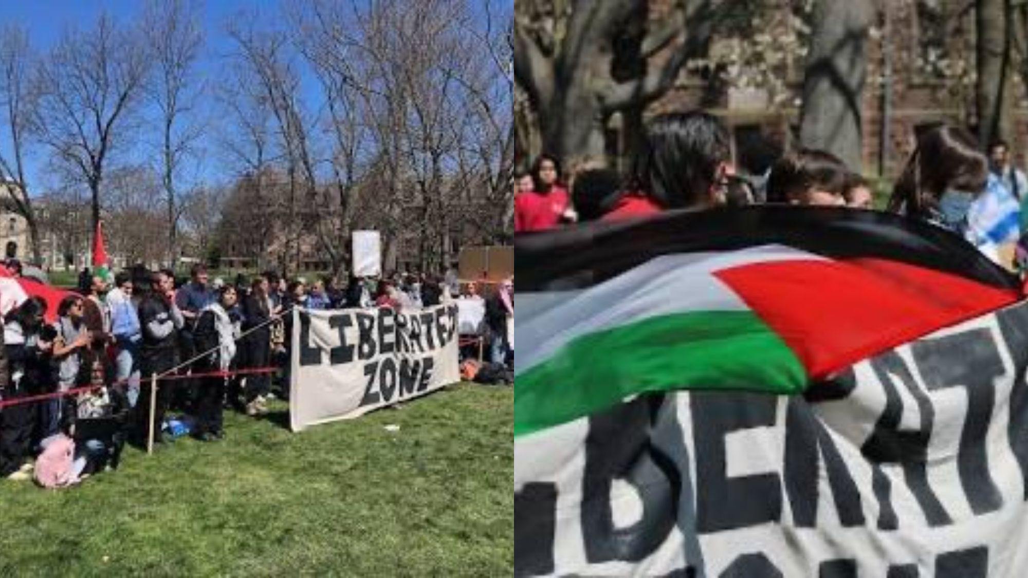 Cornell suspends four students over Pro-Palestine protest, igniting ...